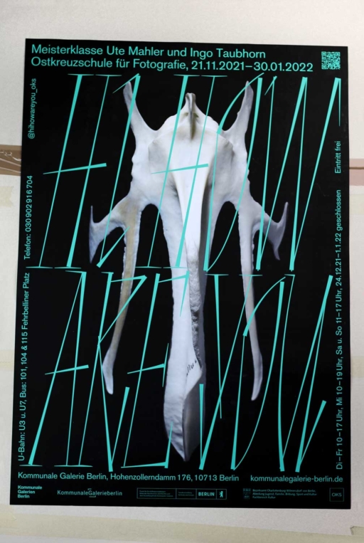 Aleksandar Todorović - Graphic designer from Bosna Herzigova